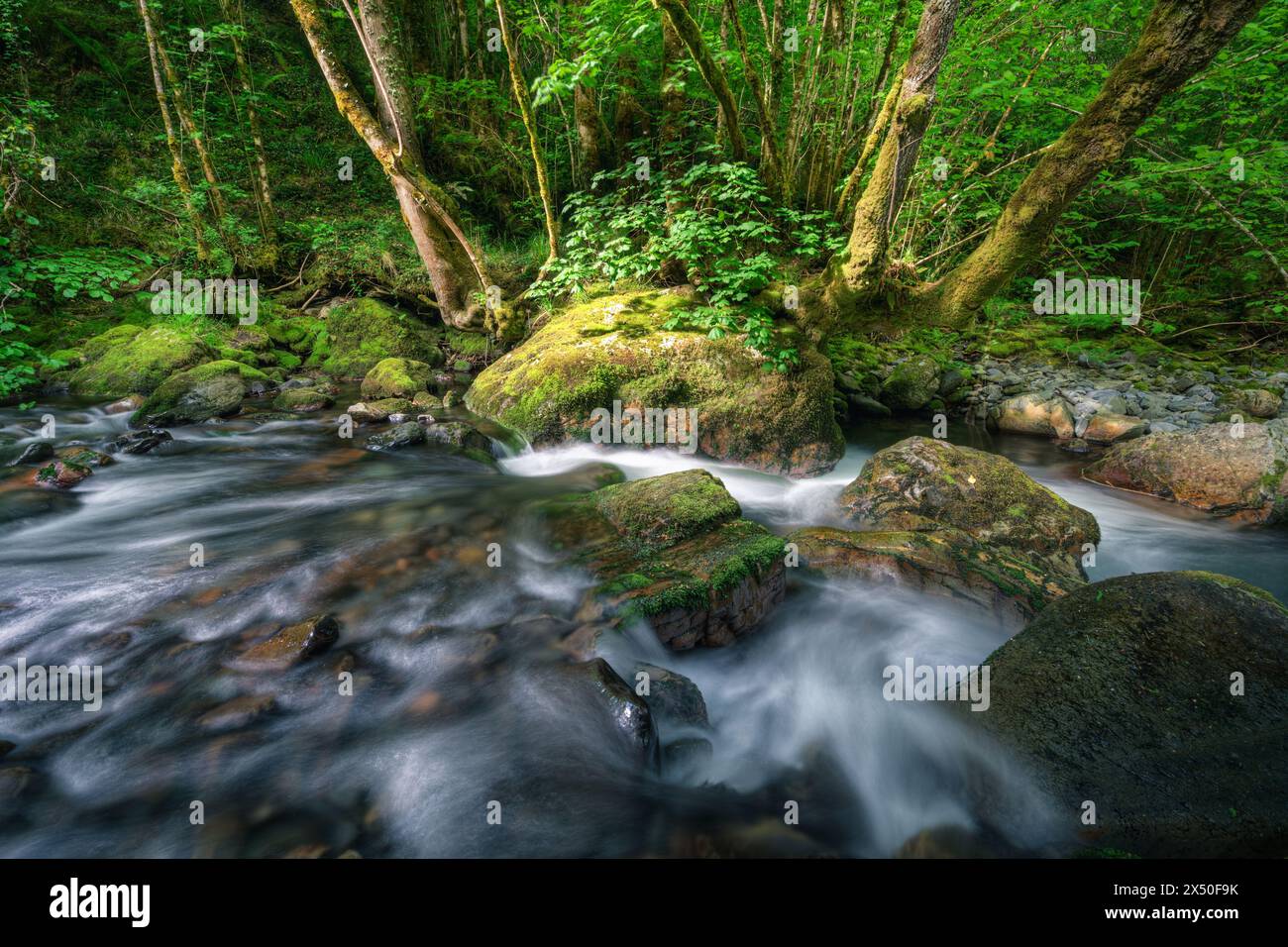 A stream flows happily between limestone rocks and deciduous forests in ...