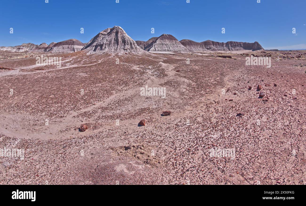 Grey bentonite hills along Long Logs Trail, Petrified Forest National ...