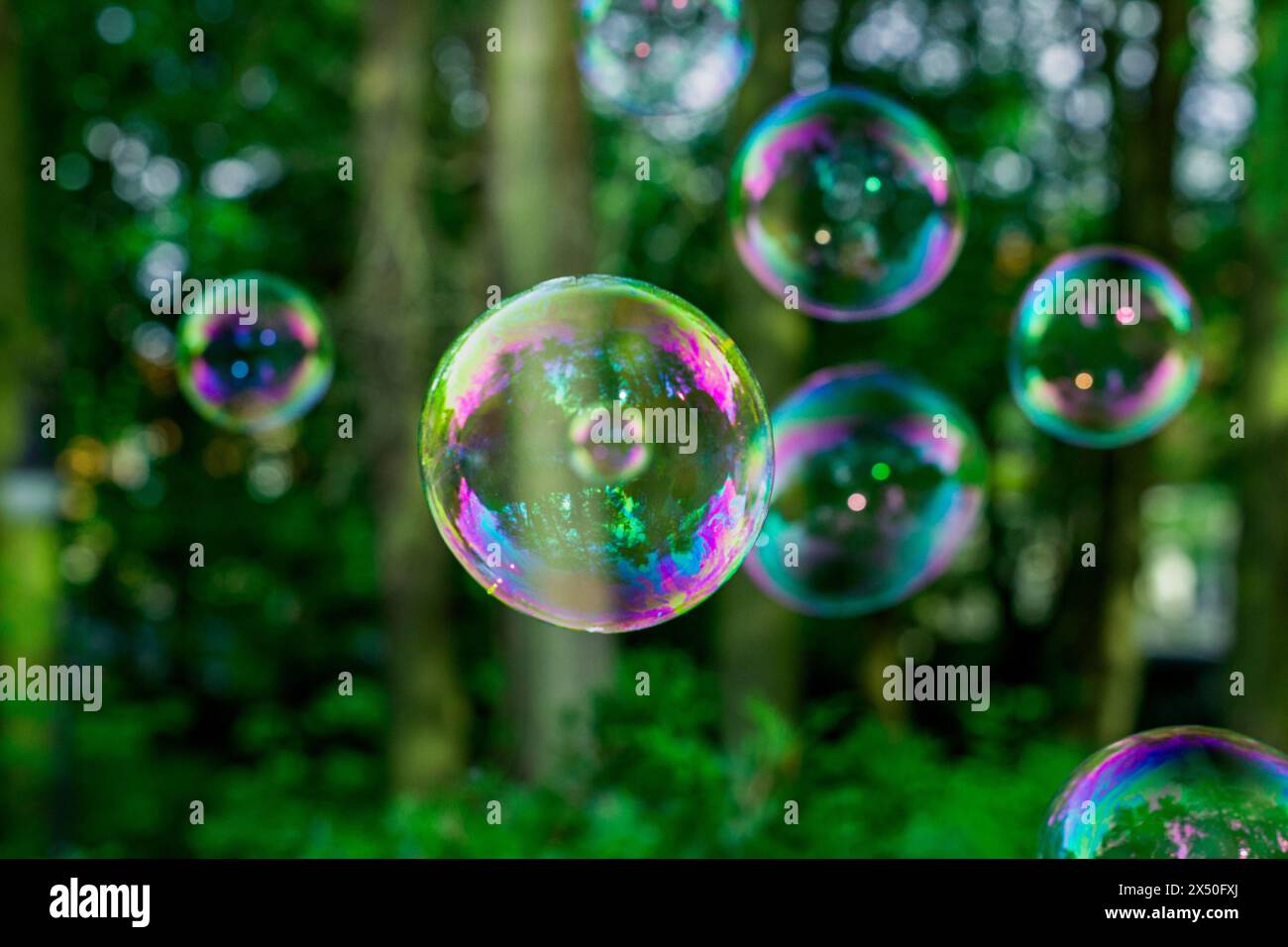 soap bubbles close-up on a background of sun and greenery, abstract ...