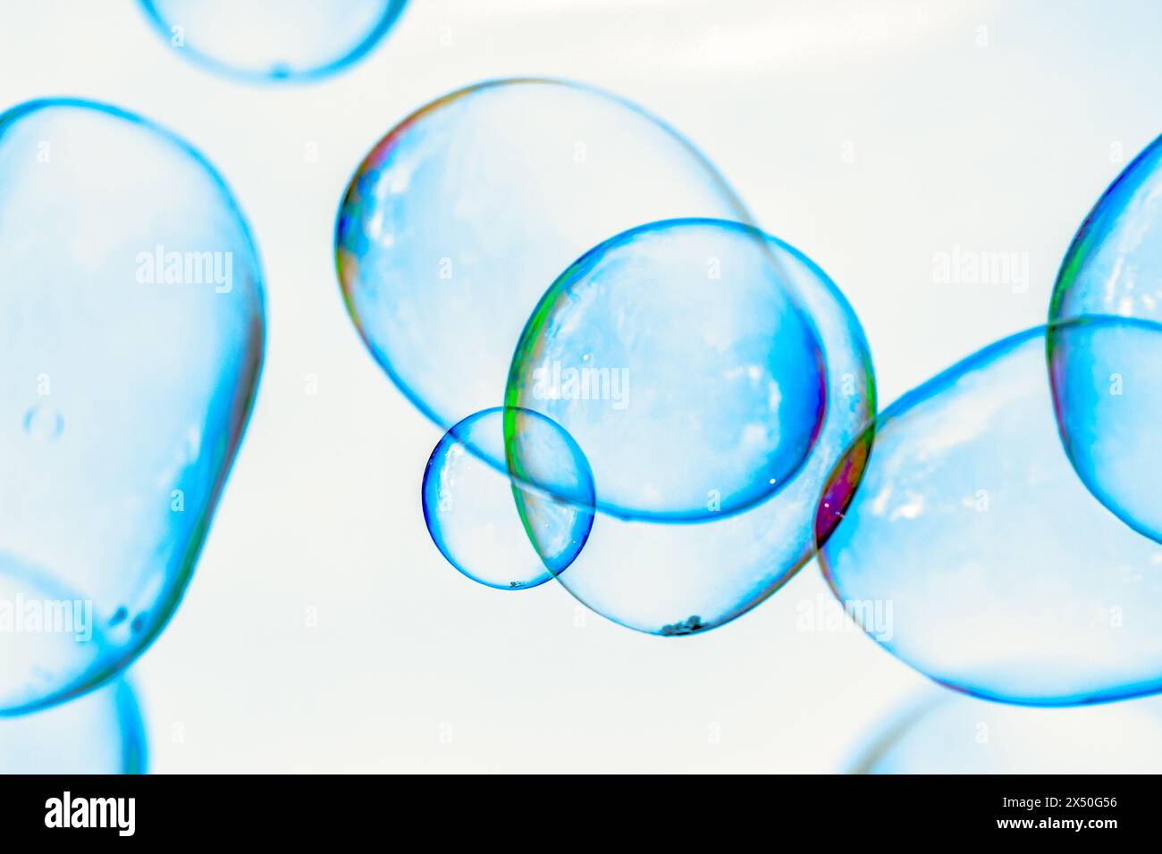 soap bubbles close-up on a background of sun and greenery, abstract ...