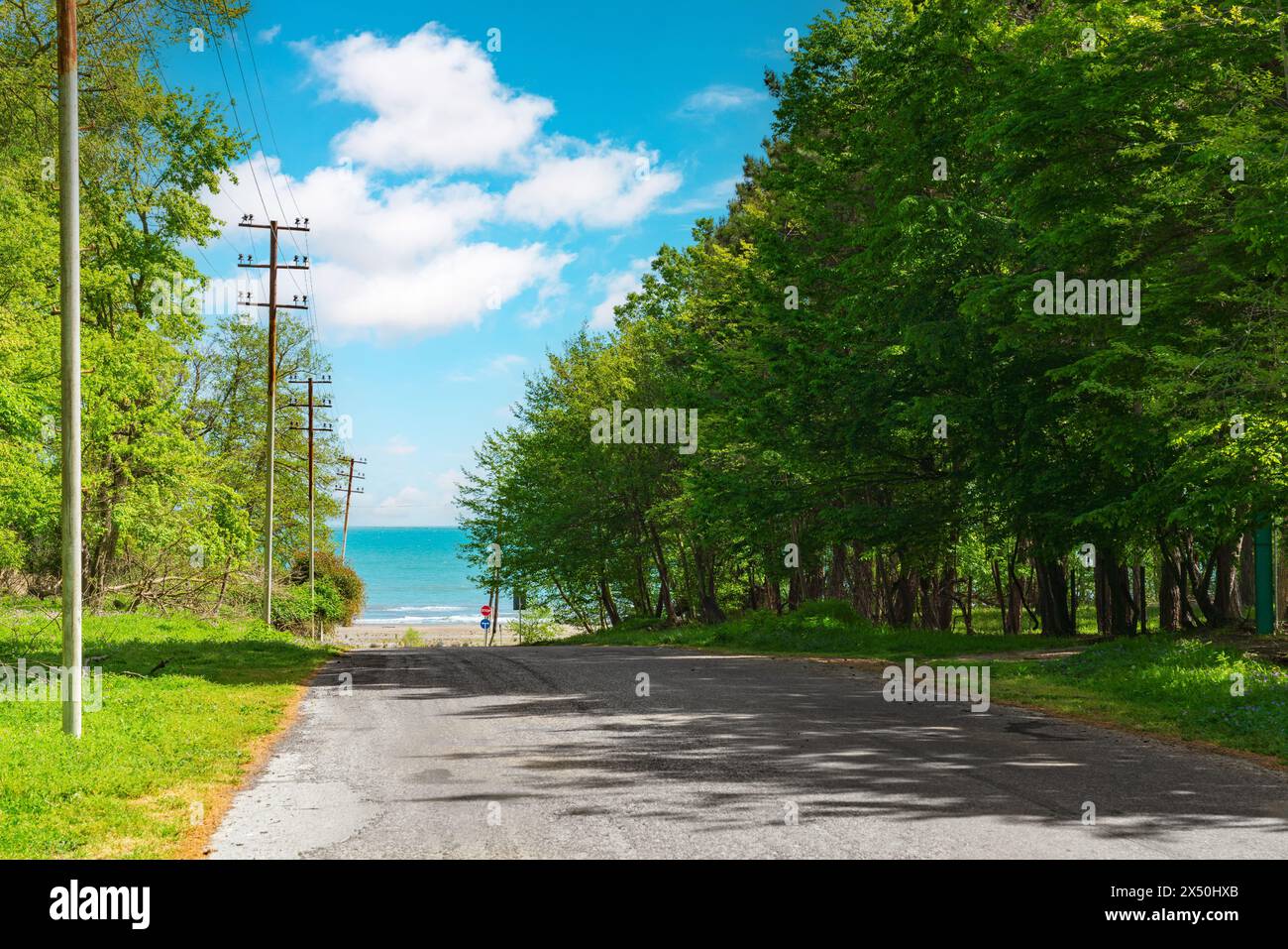 Long pathway between trees hi-res stock photography and images - Alamy
