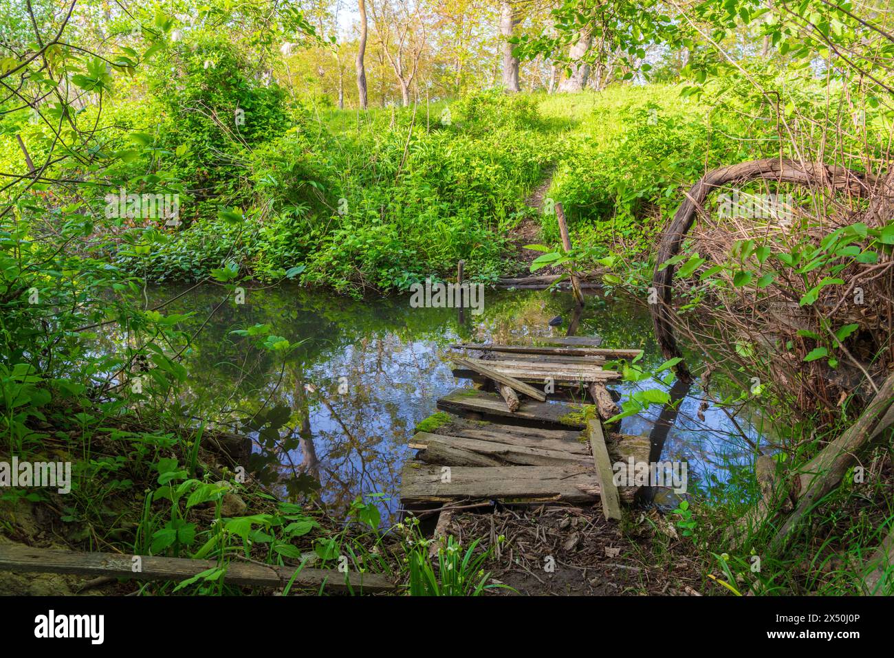Broken bridge over river hi-res stock photography and images - Alamy