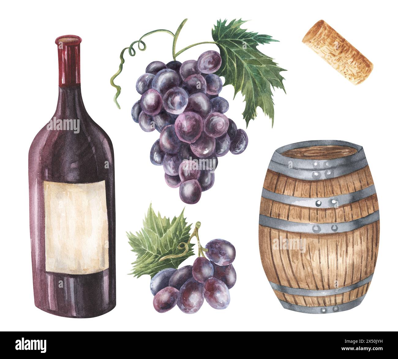 Wine bottle of red wine, barrel, grape. Hand drawn watercolor ...