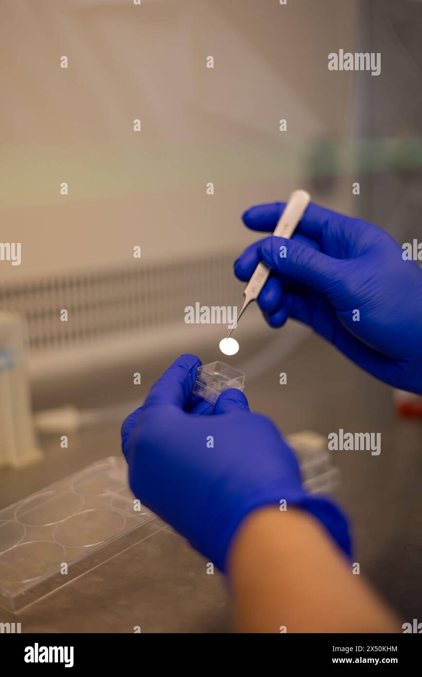 University lab hi-res stock photography and images - Alamy