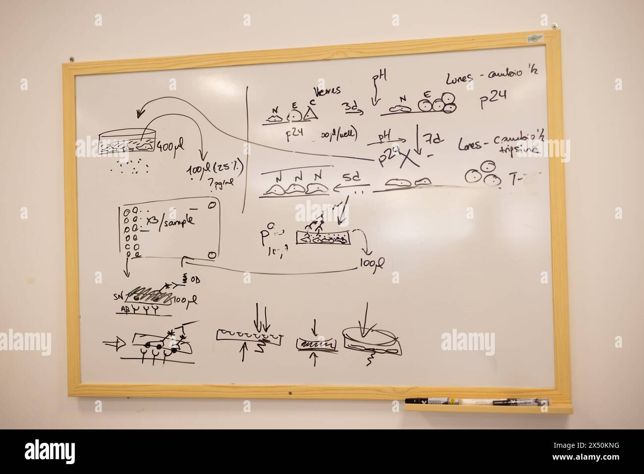 brainstorm on a whiteboard Stock Photo - Alamy