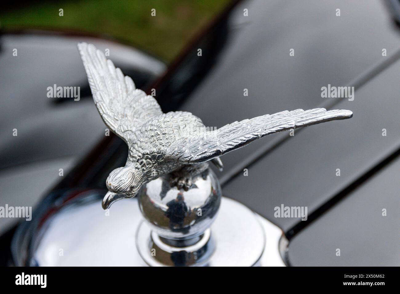 Riley bonnet mascot. Llandudno Transport Festival 2024 Stock Photo - Alamy
