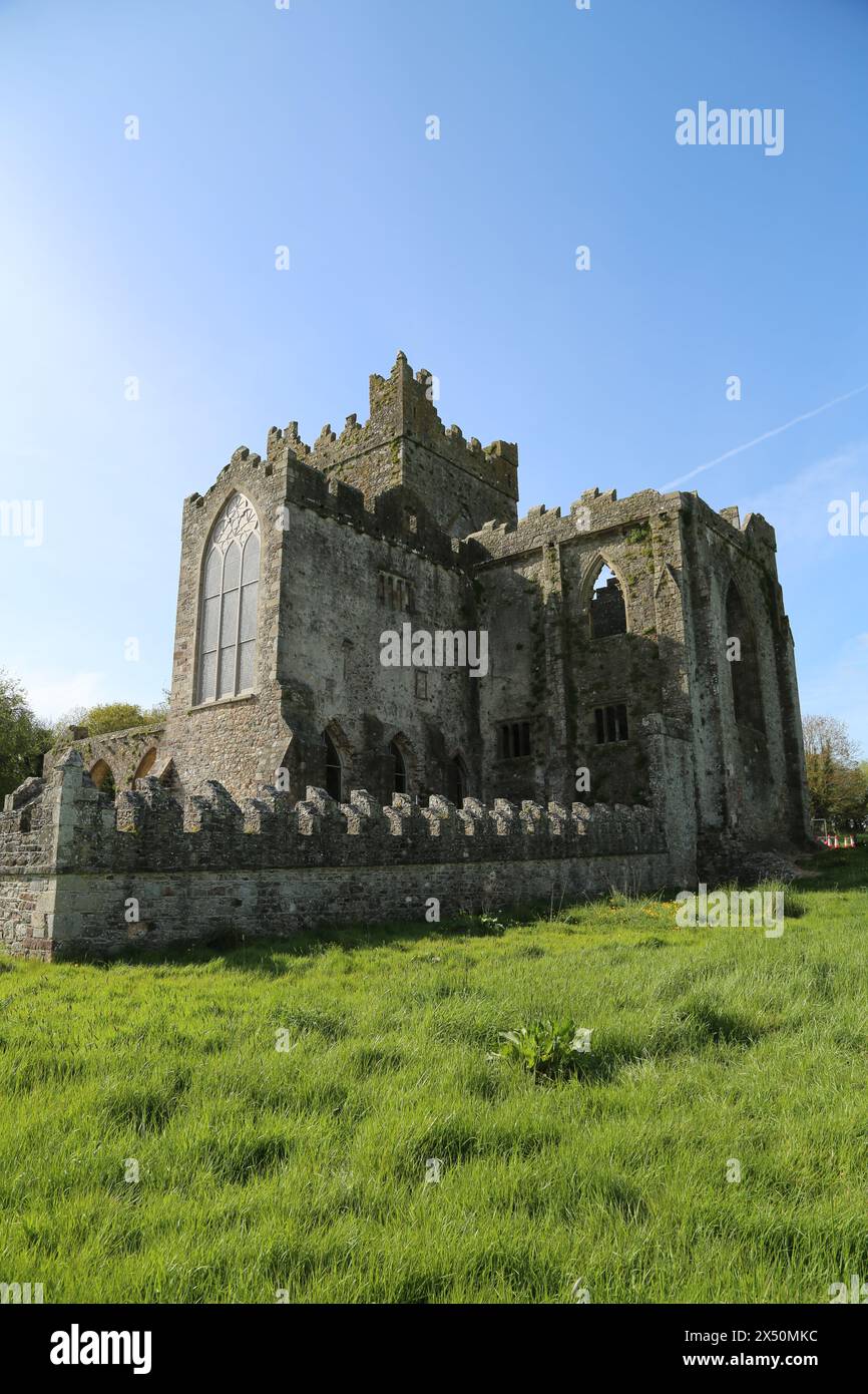 Dunbrody Abbey, Campile, County Wexford, Ireland Stock Photo - Alamy
