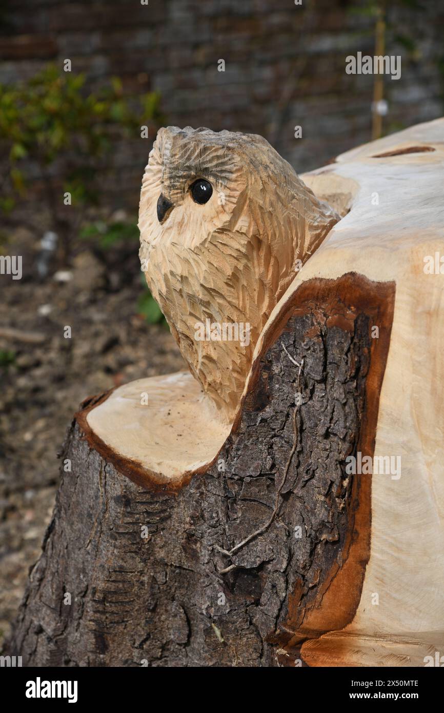 Owl tree carving Stock Photo - Alamy