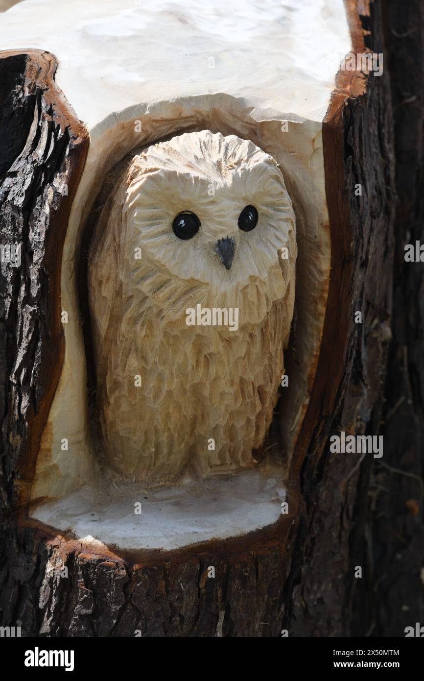 Owl tree carving Stock Photo - Alamy