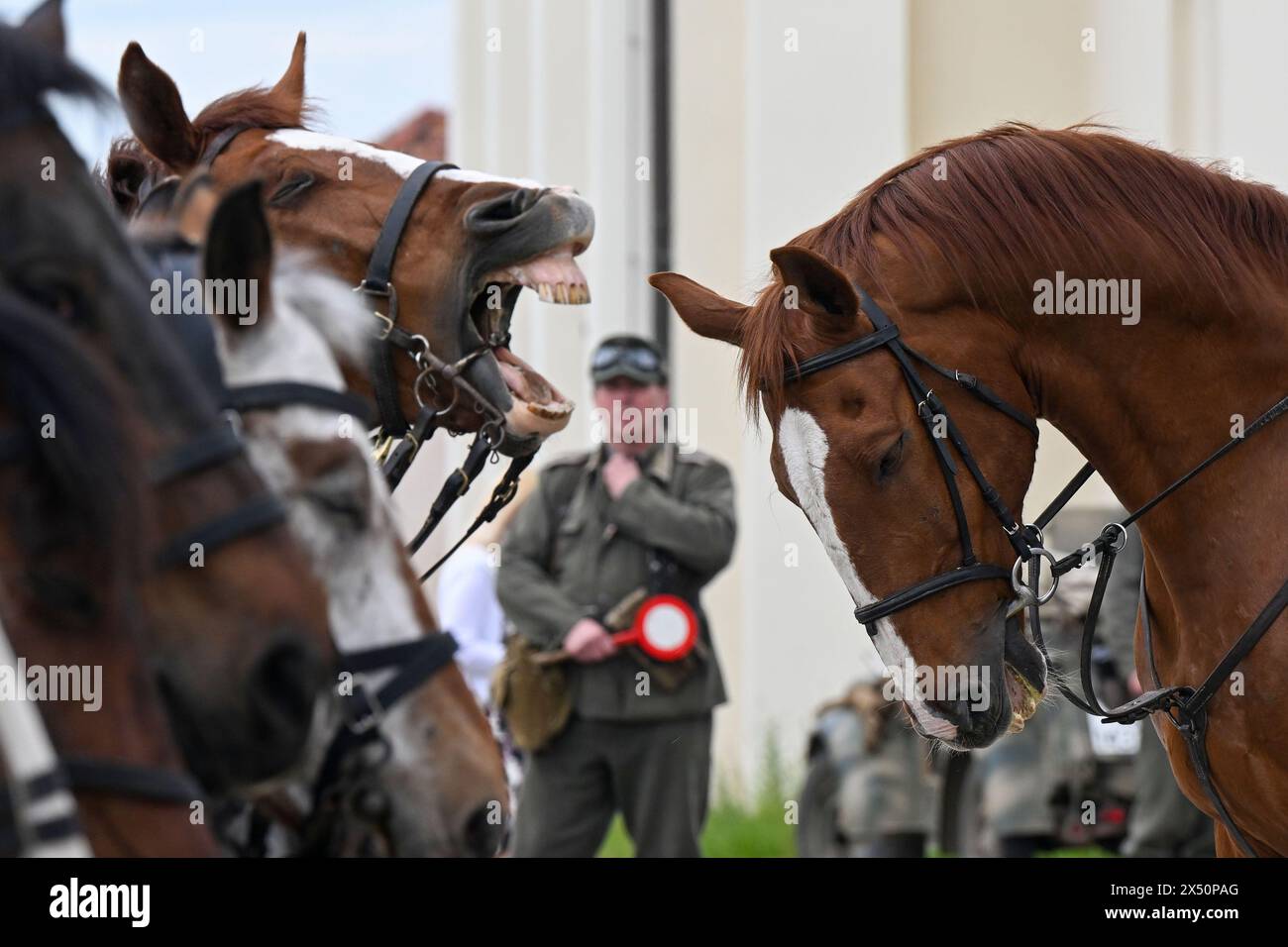 Three dozen history lovers start a 90-kilometre long pilgrimage in ...
