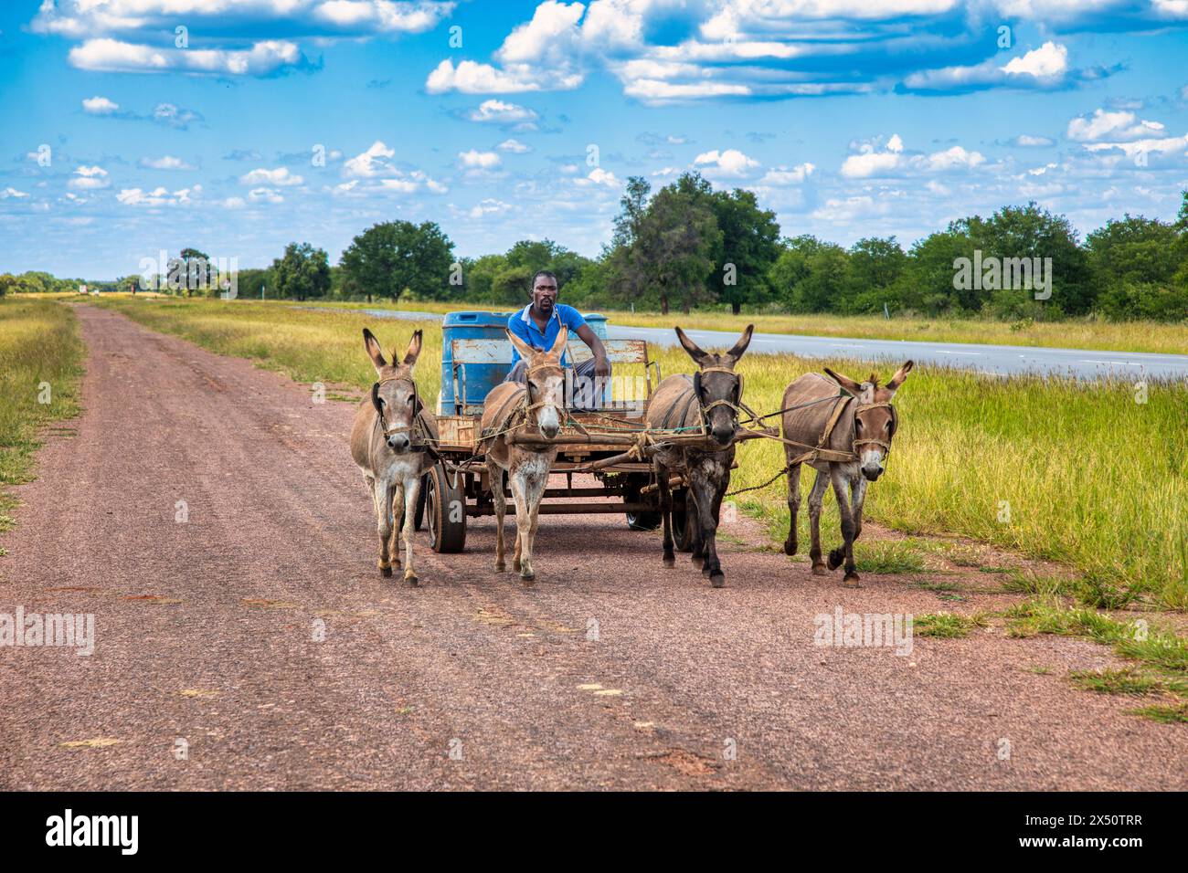 african man with donkey cart transporting on the road , carry drums ...