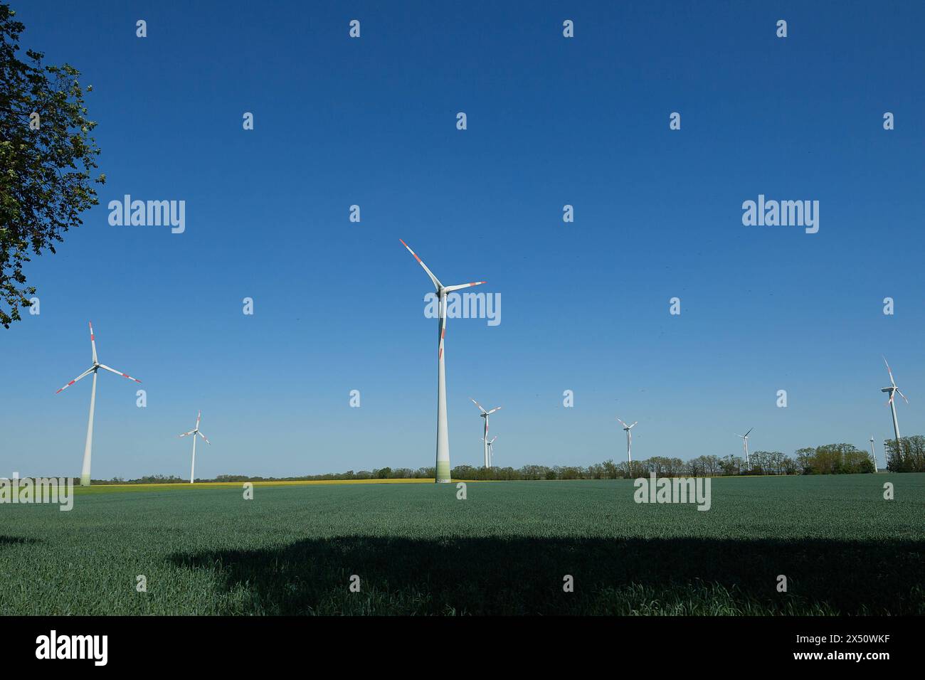 Energie Windkraft Windkraftanlagen eines Windparks bei Lichtenow in ...