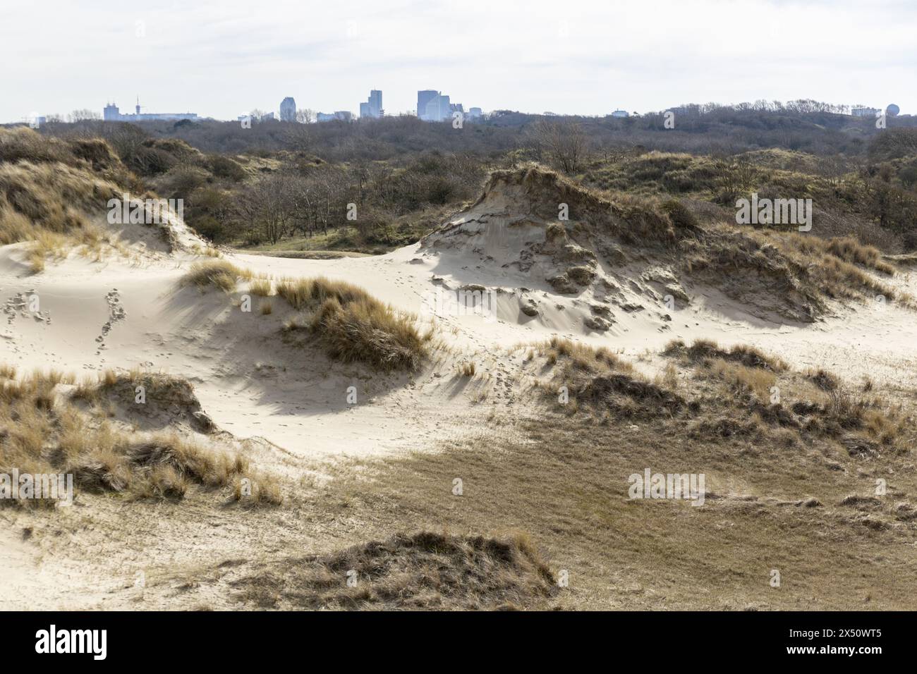 Drinkwaterwinning hi-res stock photography and images - Alamy