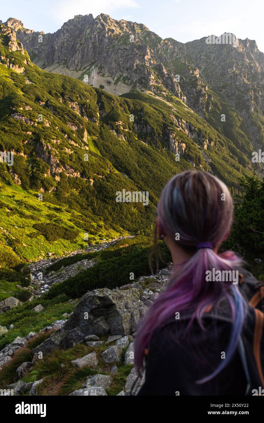 Adventure woman hiker on trial in Tatra Mountains in Poland. Back view ...