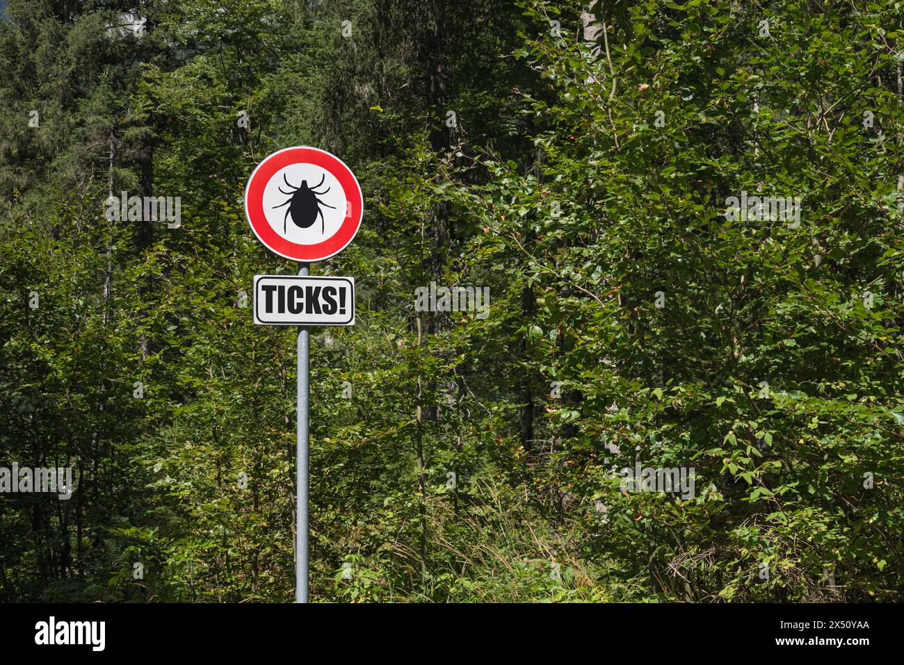 Warning sign for tick infected forest. Danger of lyme and tick borne ...