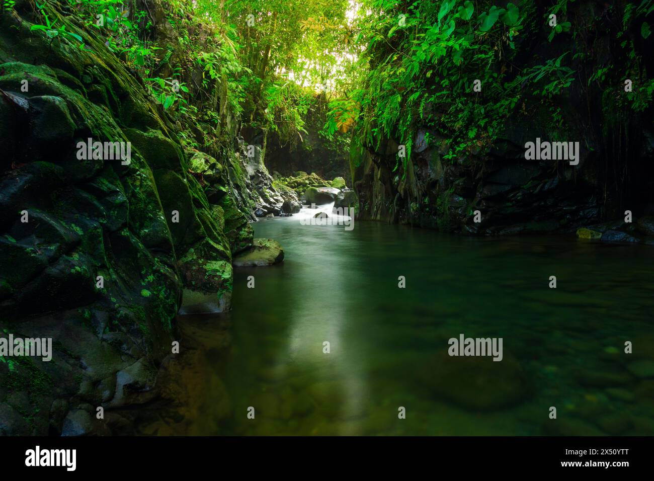indonesian landscape in the morning with a waterfall inside a beautiful ...