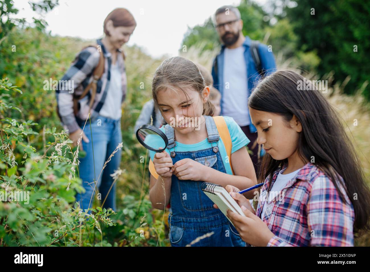 Young students learning about nature, forest ecosystem during biology ...