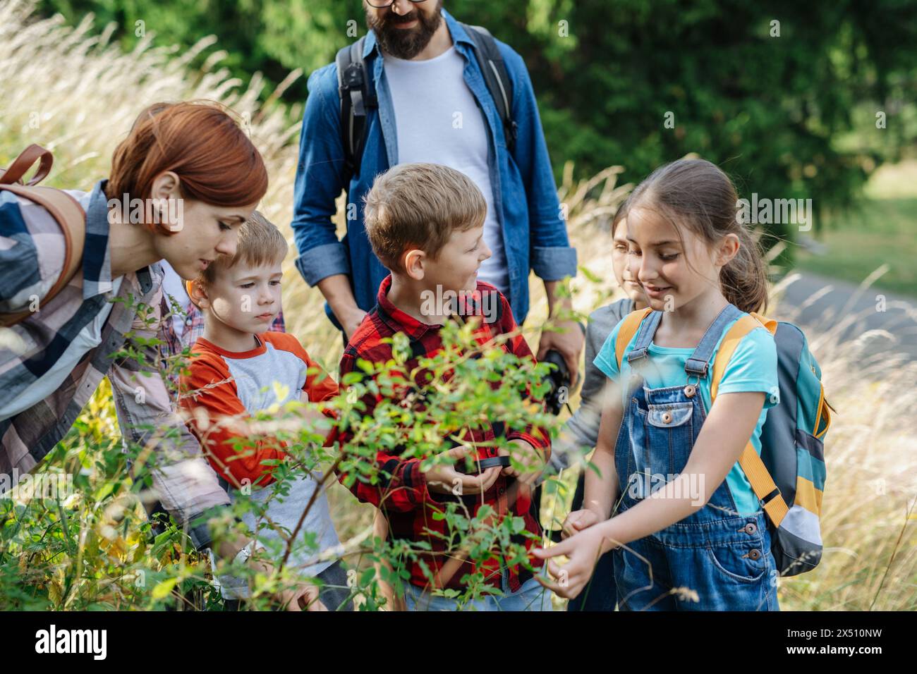 Young students learning about nature, forest ecosystem during biology ...