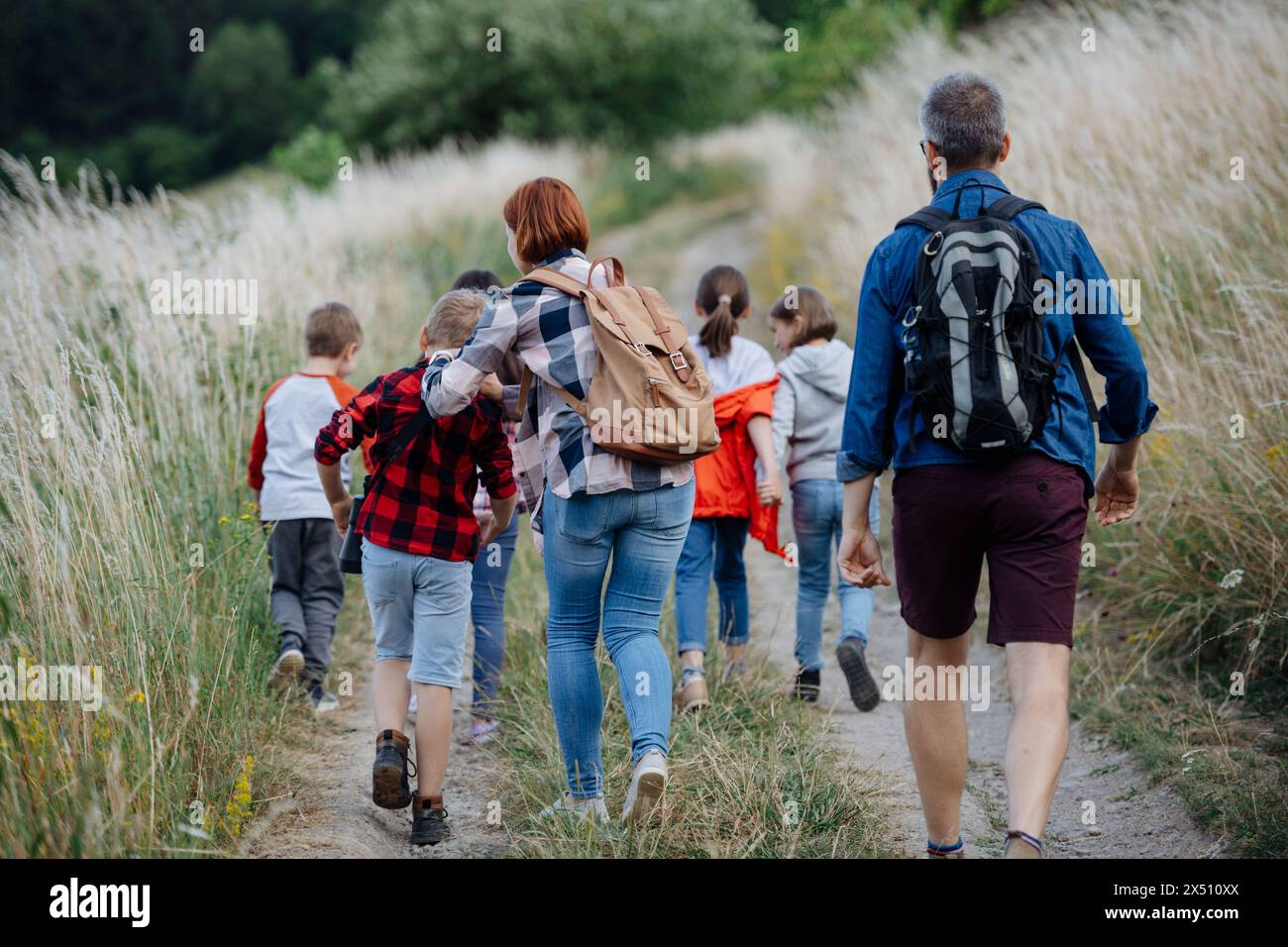Rear view of students during biology field teaching class, walking down ...