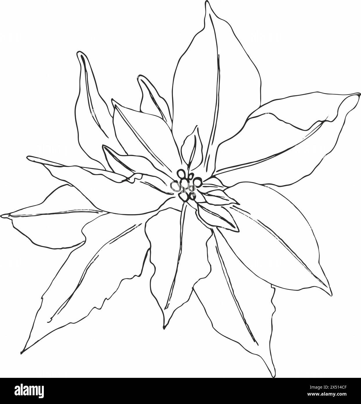 Flower line art continuous Cut Out Stock Images & Pictures - Alamy