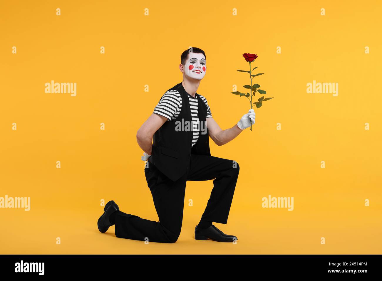 Funny mime artist with red rose posing on orange background Stock Photo ...