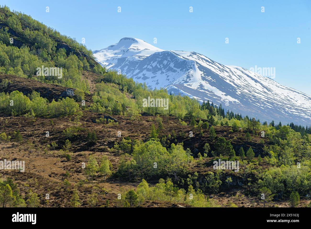 Lush greenery graces the slopes leading to a serene, snow-capped ...