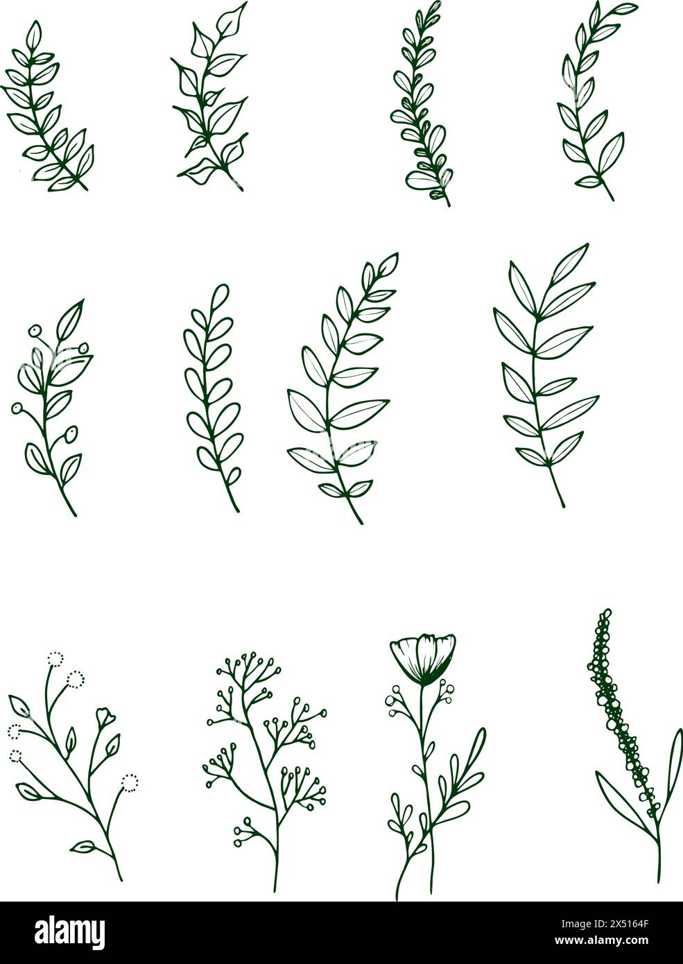 Vector collection of hand drawn plants. Botanical set of sketch flowers ...