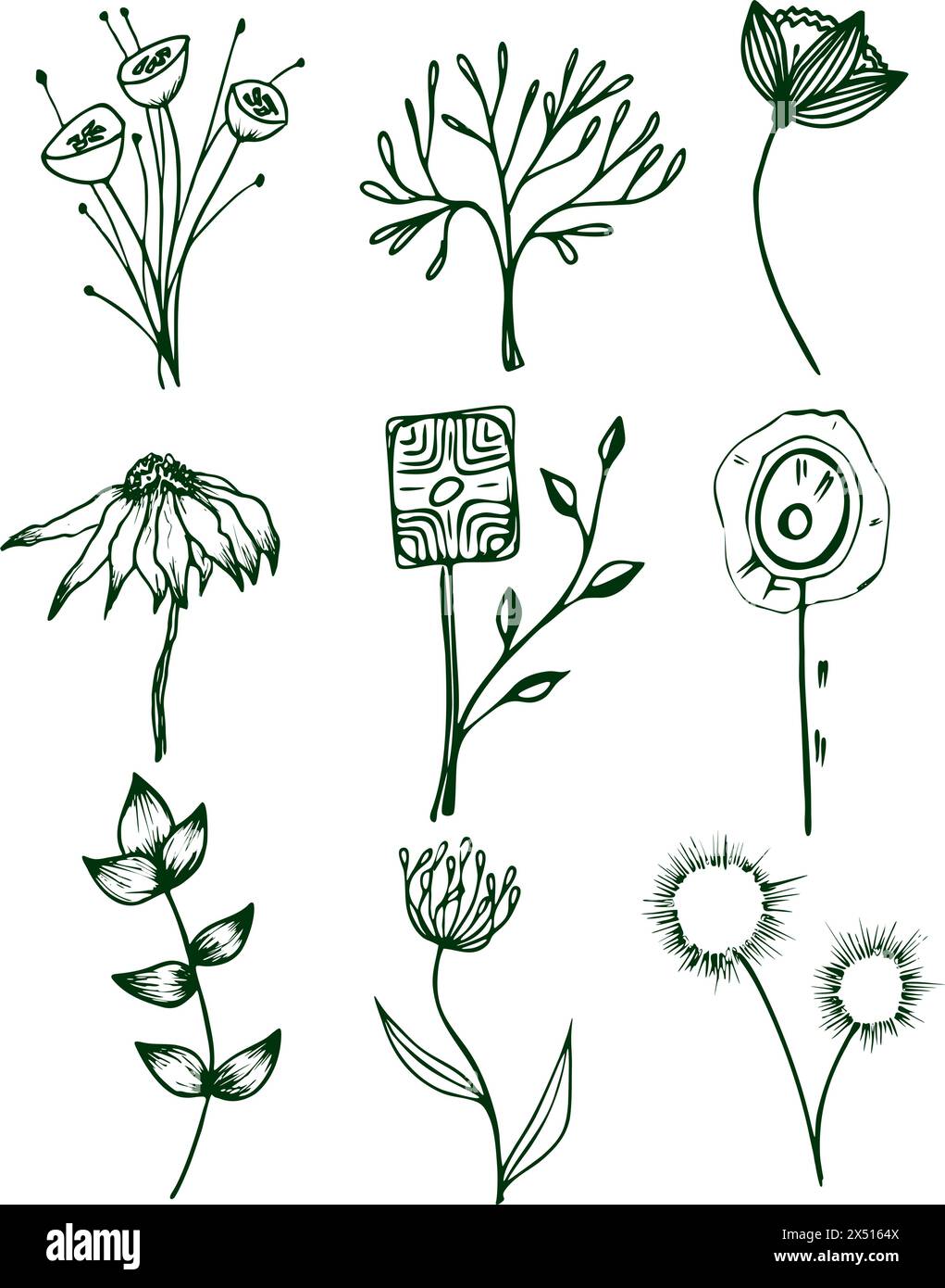 Vector collection of hand drawn plants. Botanical set of sketch flowers ...