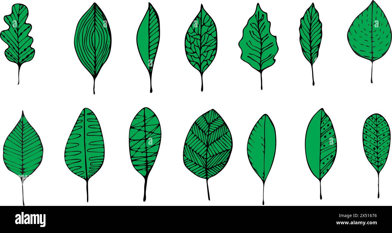 Set od various tree leaves. Vector illustration collection Stock Vector ...