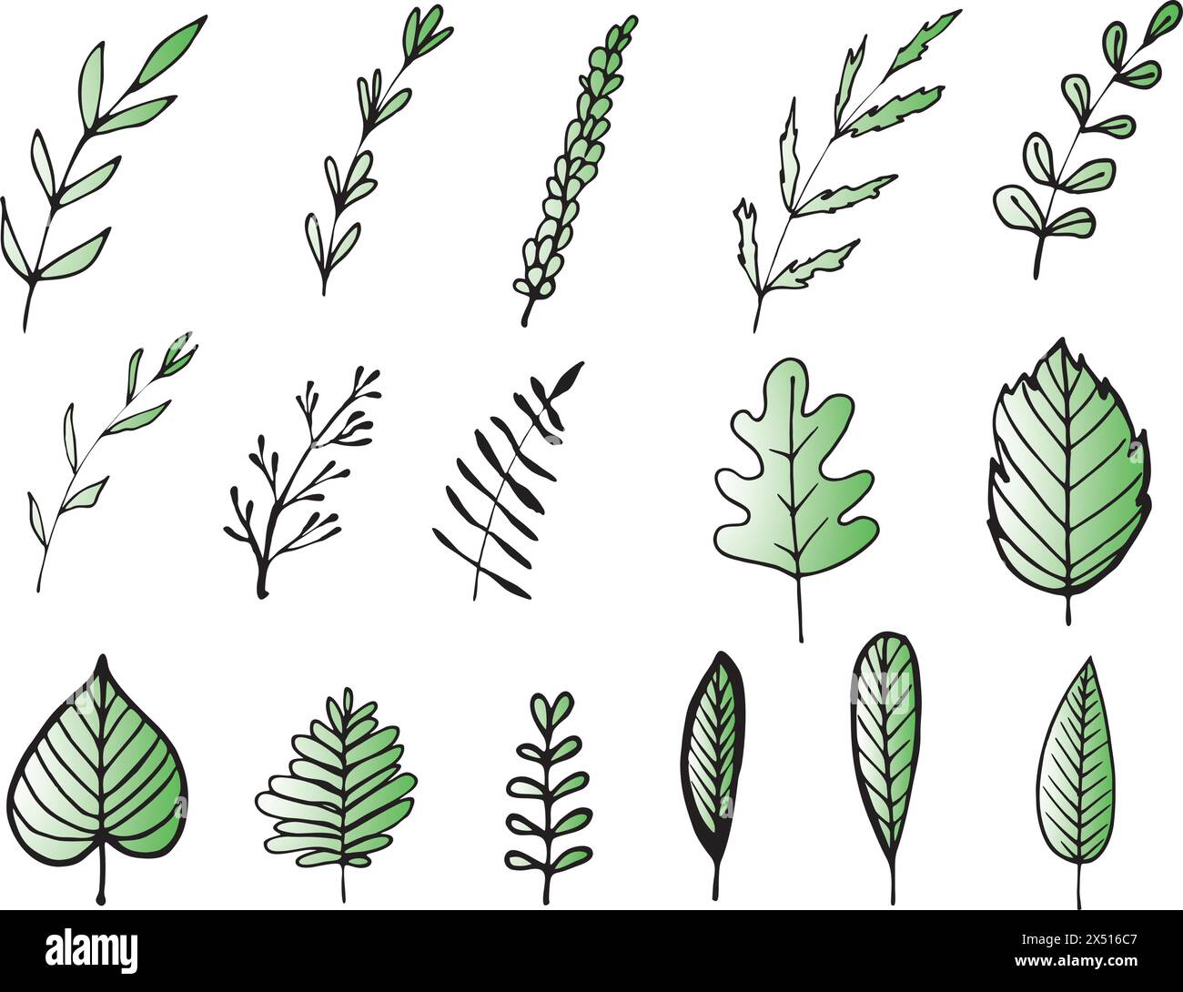 Set od various tree leaves. Vector illustration collection Stock Vector ...