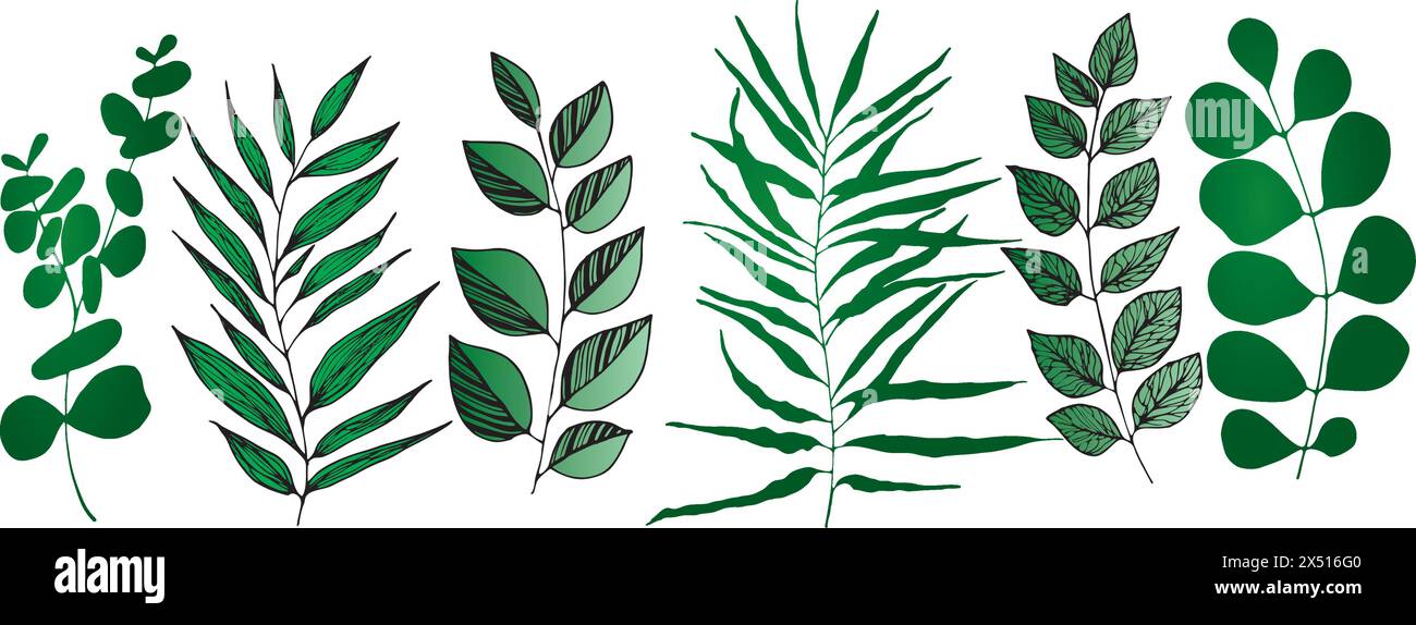 Set od various tree leaves. Vector illustration collection Stock Vector ...