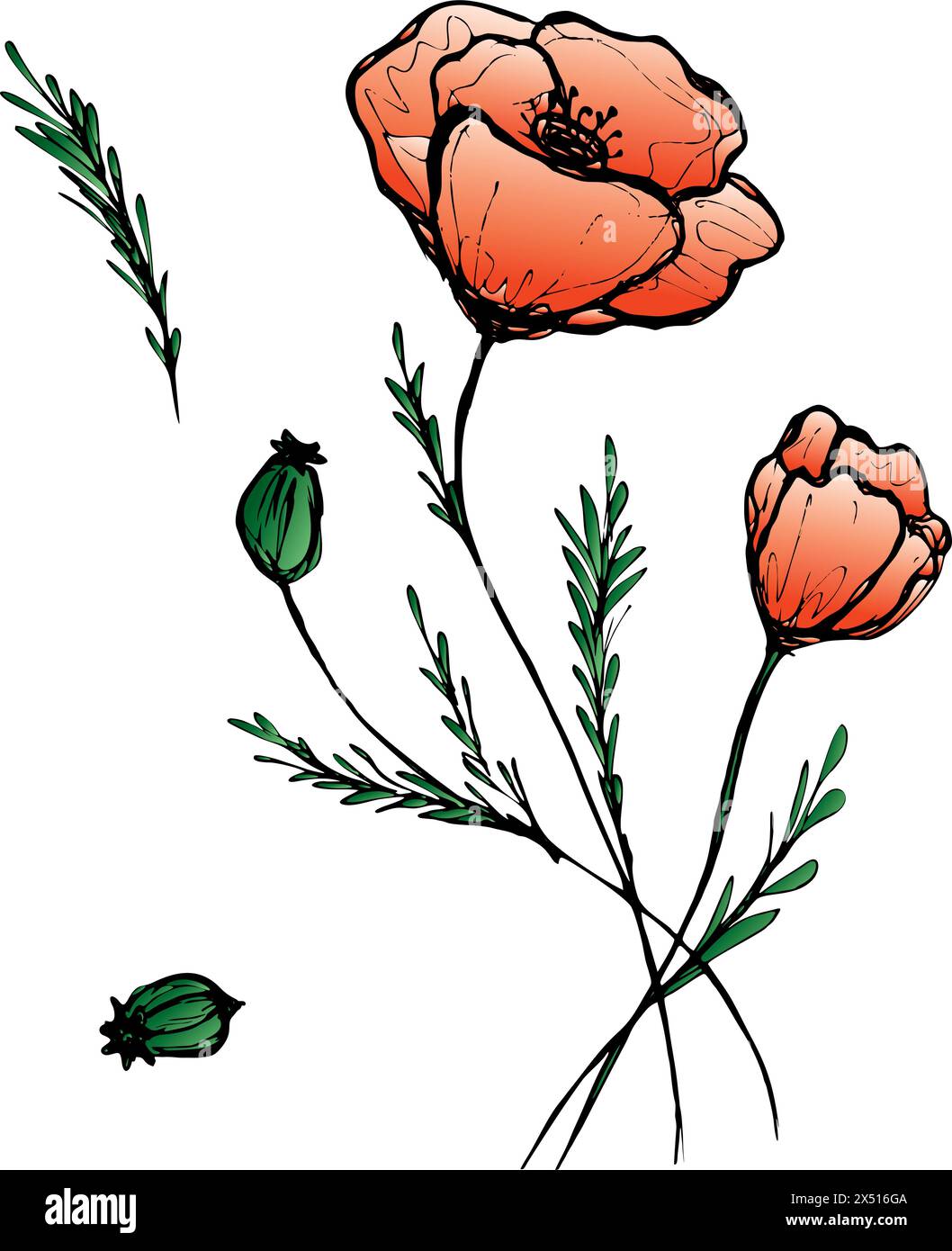 Abstract red poppies flowers vector illustration.Poppies drawing ...