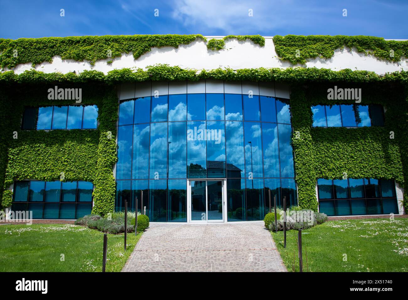 Office building facade covered in ivy Stock Photo - Alamy