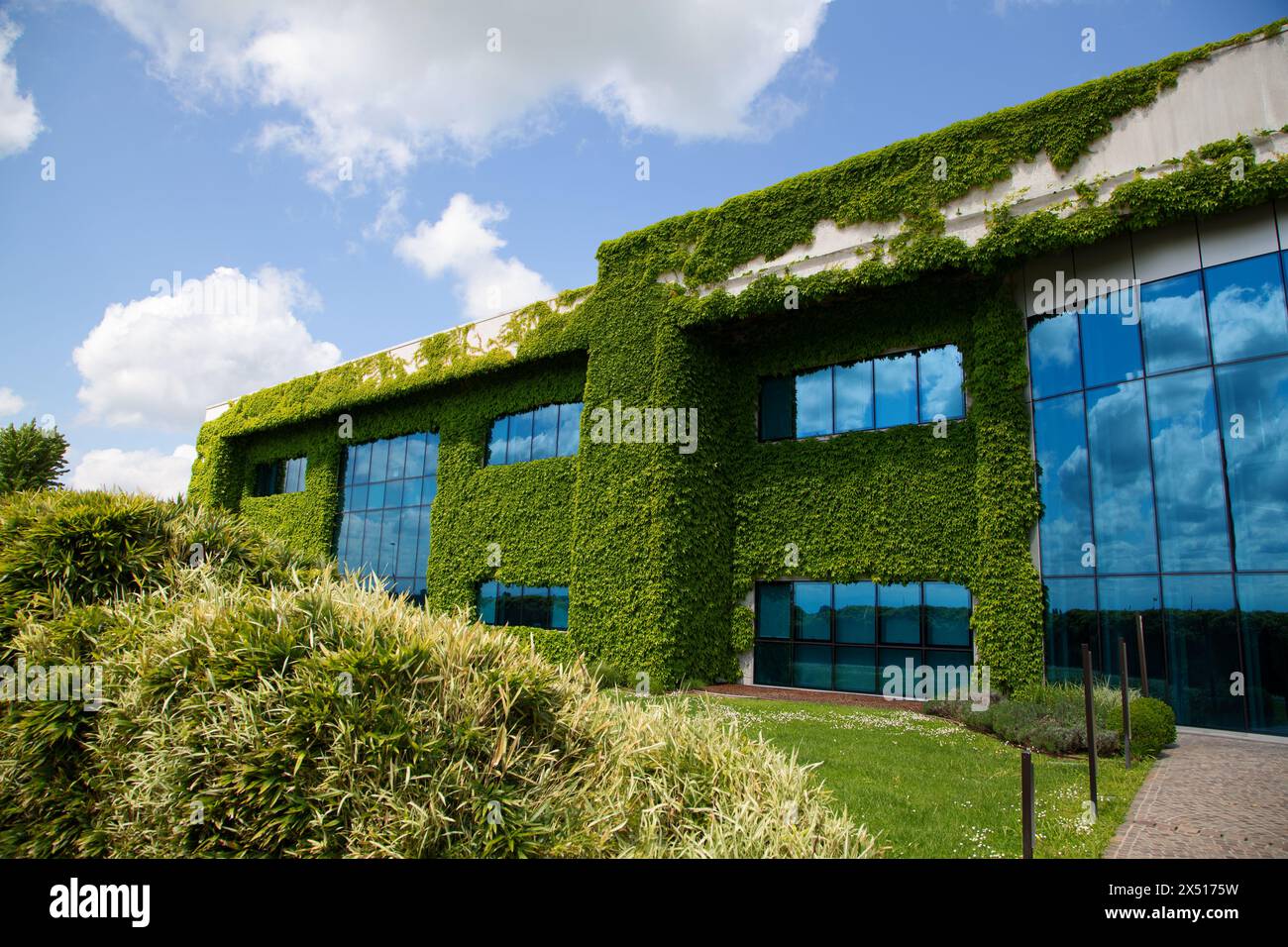 Office building facade covered in ivy Stock Photo - Alamy