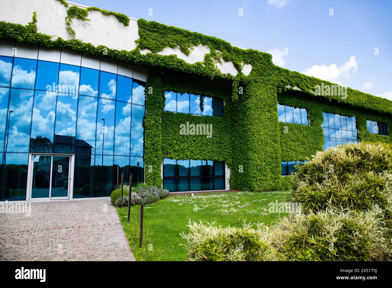 Office building facade covered in ivy Stock Photo - Alamy