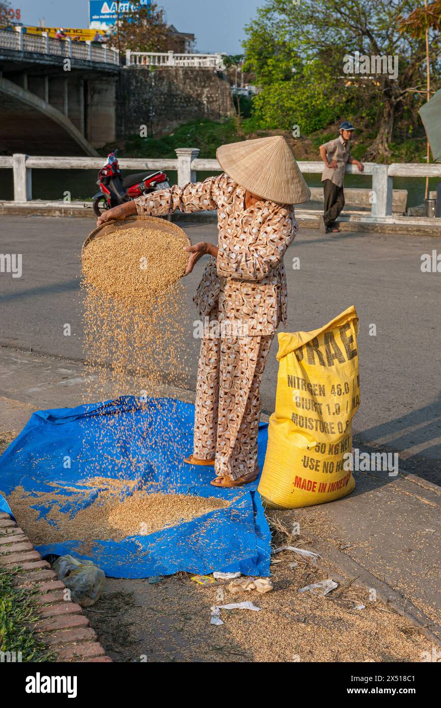Vietnam, Hue, Woman cleaning the rice Stock Photo - Alamy