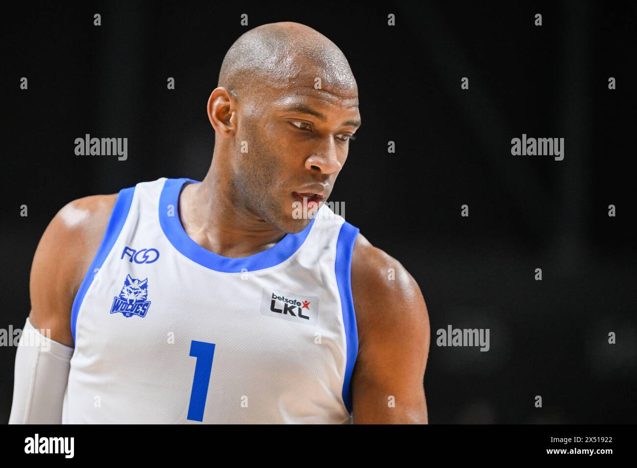 Vilnius wolves hi-res stock photography and images - Alamy