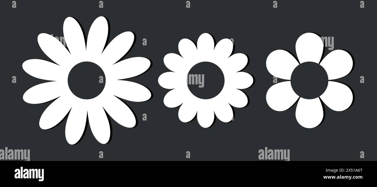 Chamomile flowers set in monochrome colors. Chamomile flower icons set ...