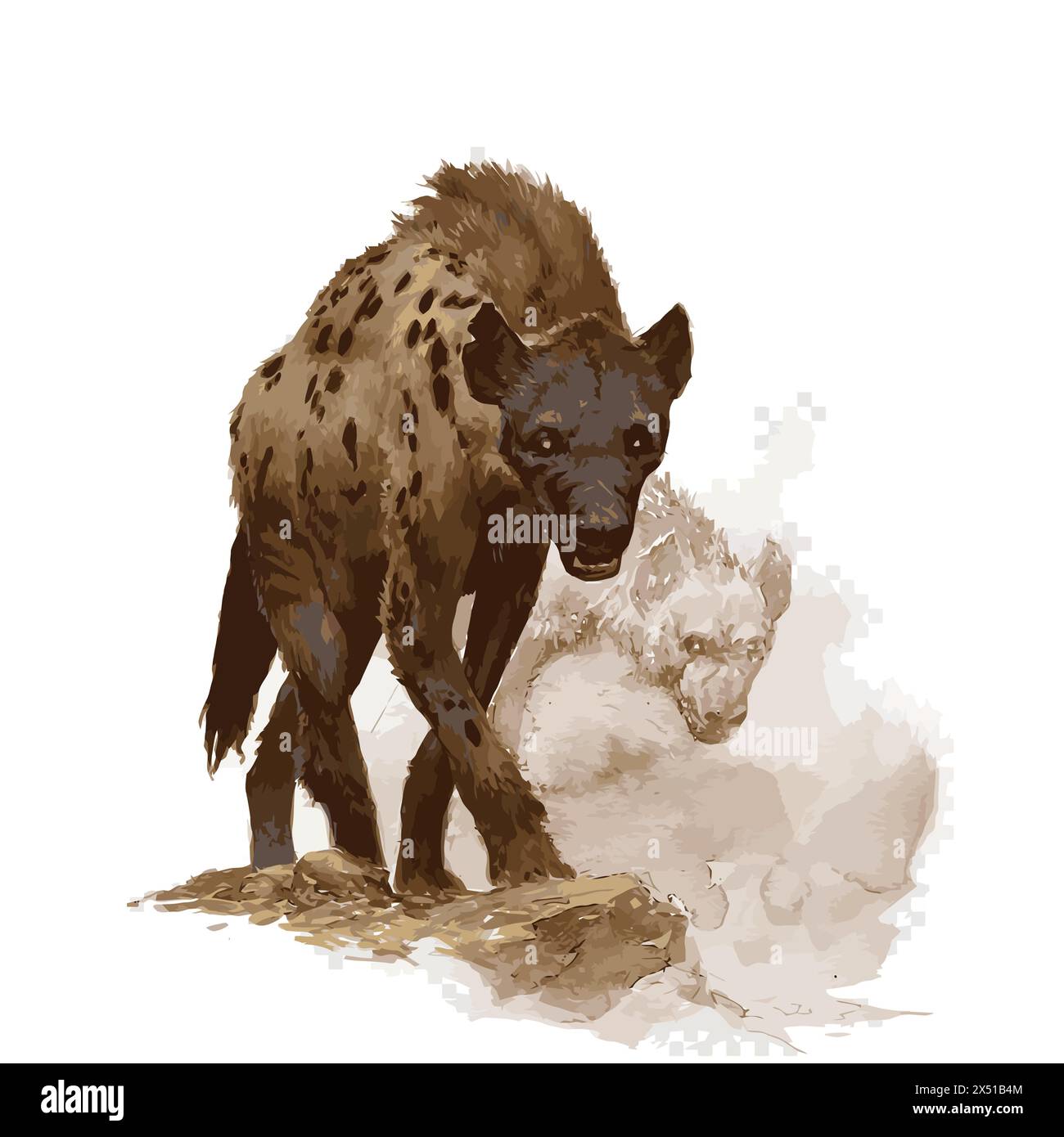 Hyena wild Dog fun, pretty, brown, white, happy, lying down, beautiful ...