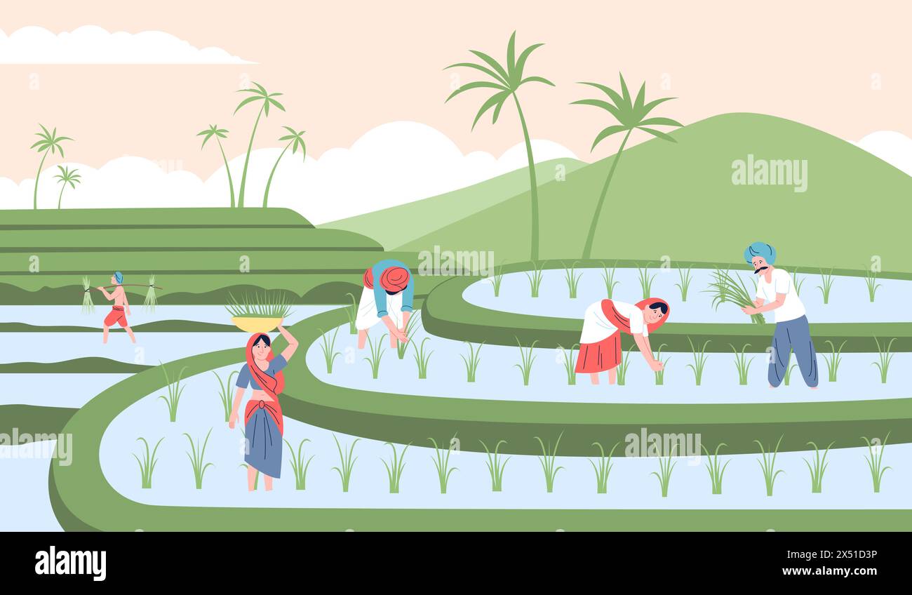 Indian farmers in rice fields. Smiling asian farmer working, man and ...