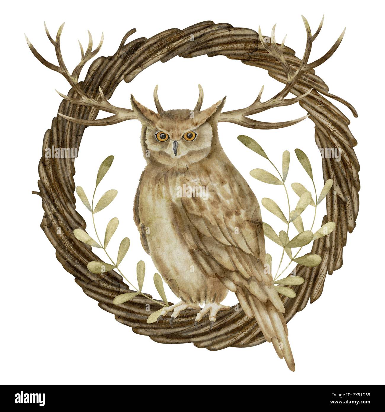 Mystical eagle Owl with horns sitting on a round branch. Watercolor ...