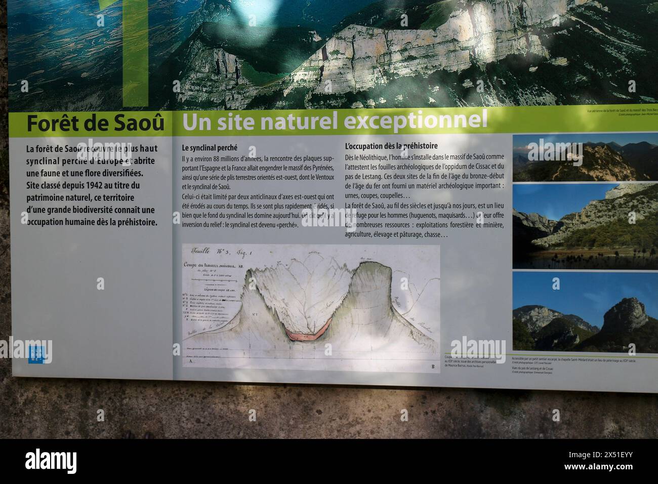 Foret de Saoû (Drome,France Stock Photo - Alamy