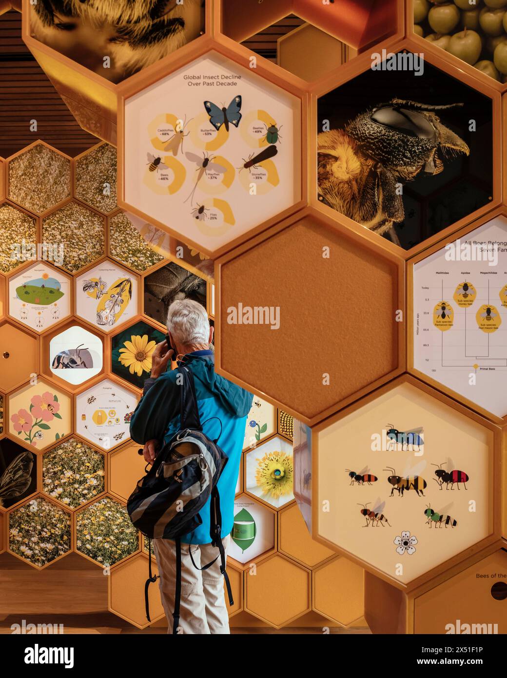 A visitor is looking at the exhibition space, details of constriction ...