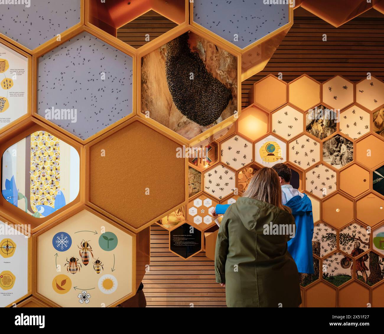 Visitors in the exhibition space, details of constriction, timber ...