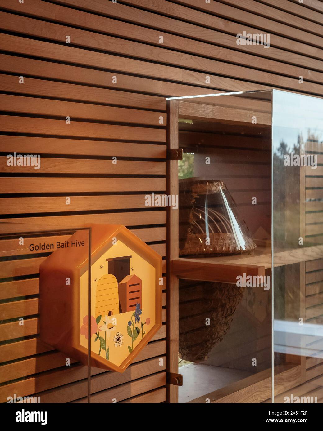 Exhibition space details, with viewing cases and sober cladding. The ...