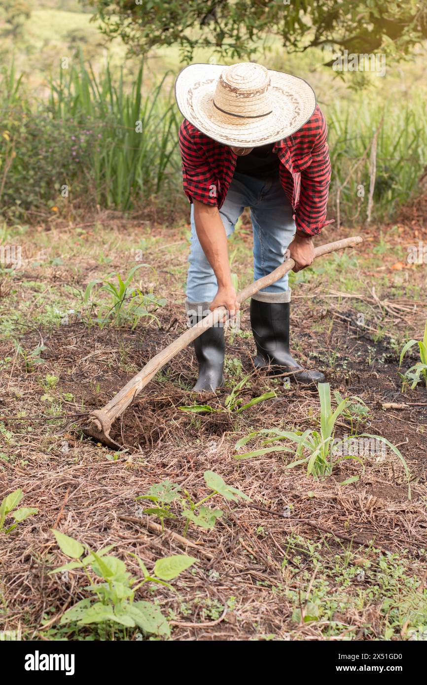 lifestyle: young farmer uses hoe for tillage Stock Photo - Alamy