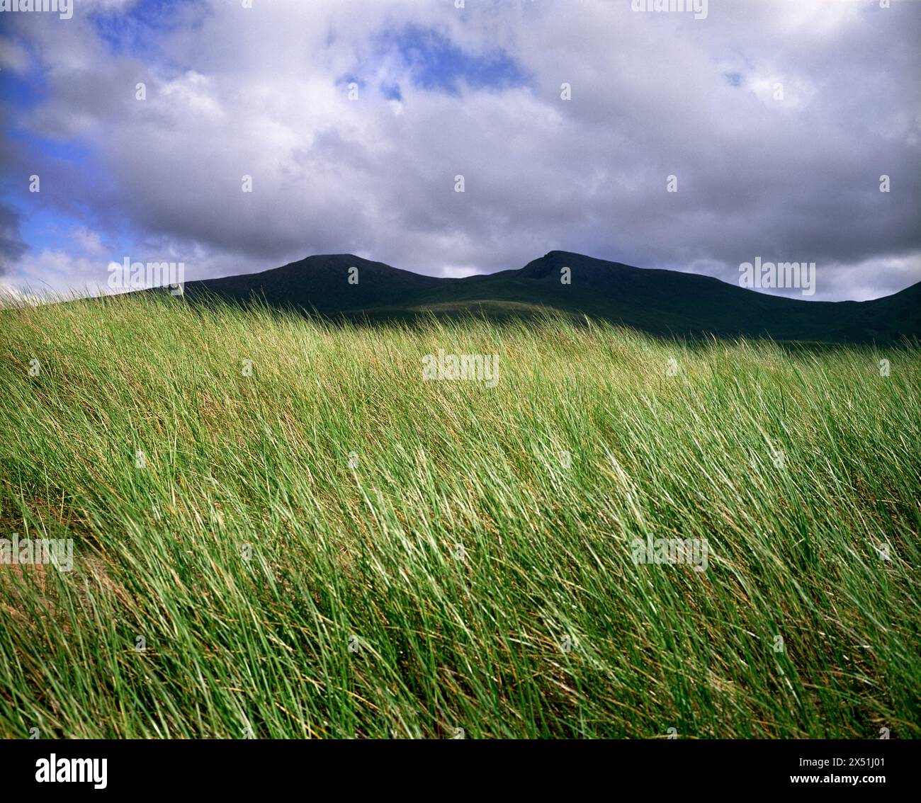 Dune grass and mountains in Ireland Stock Photo - Alamy