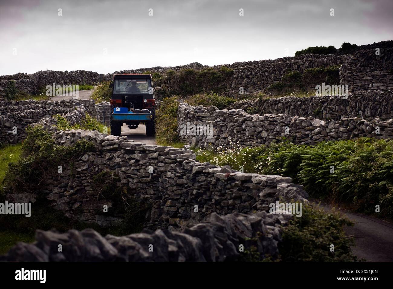 Farmer drives tractor on Aran Island in Ireland Stock Photo - Alamy