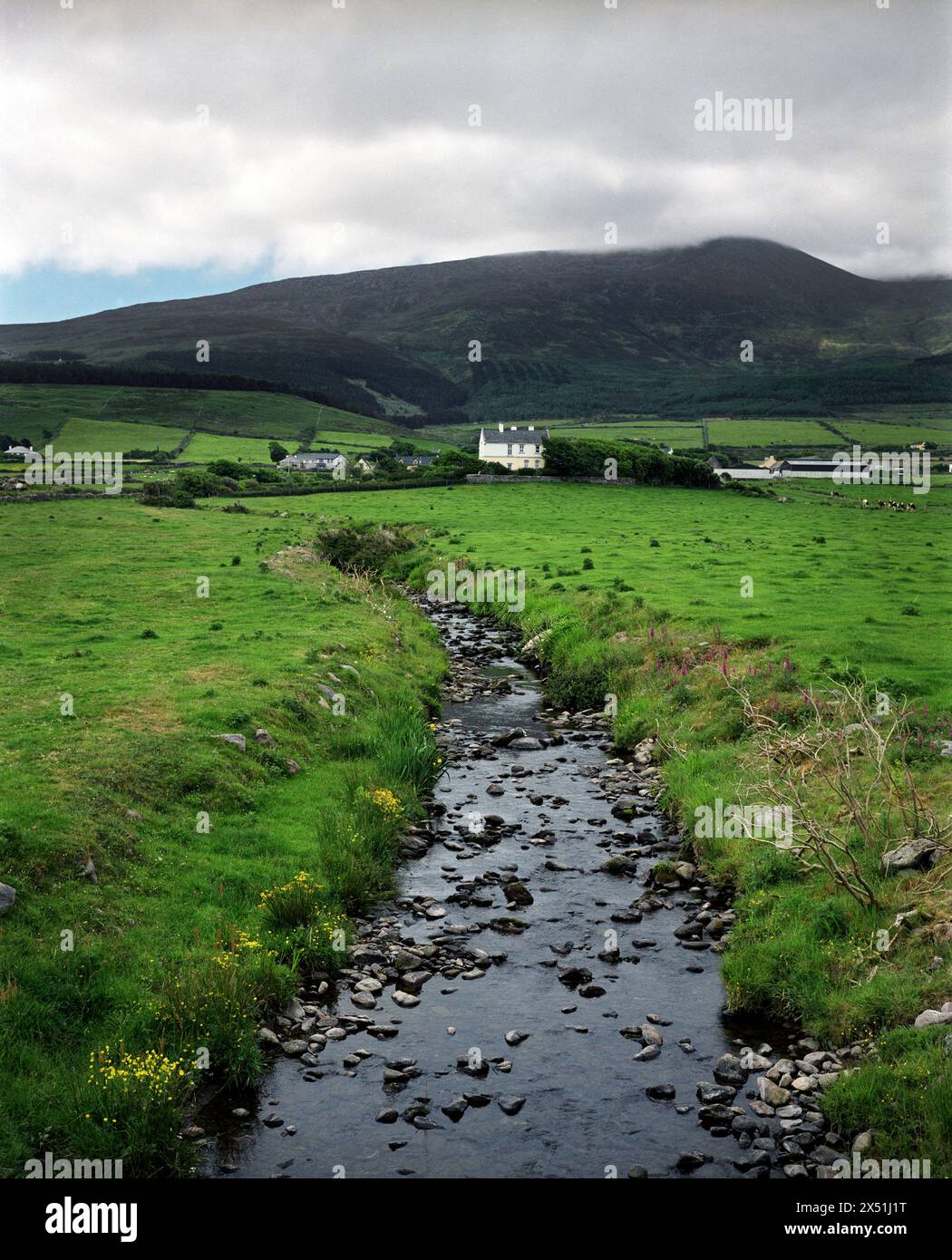 Rural ireland vertical hi-res stock photography and images - Alamy