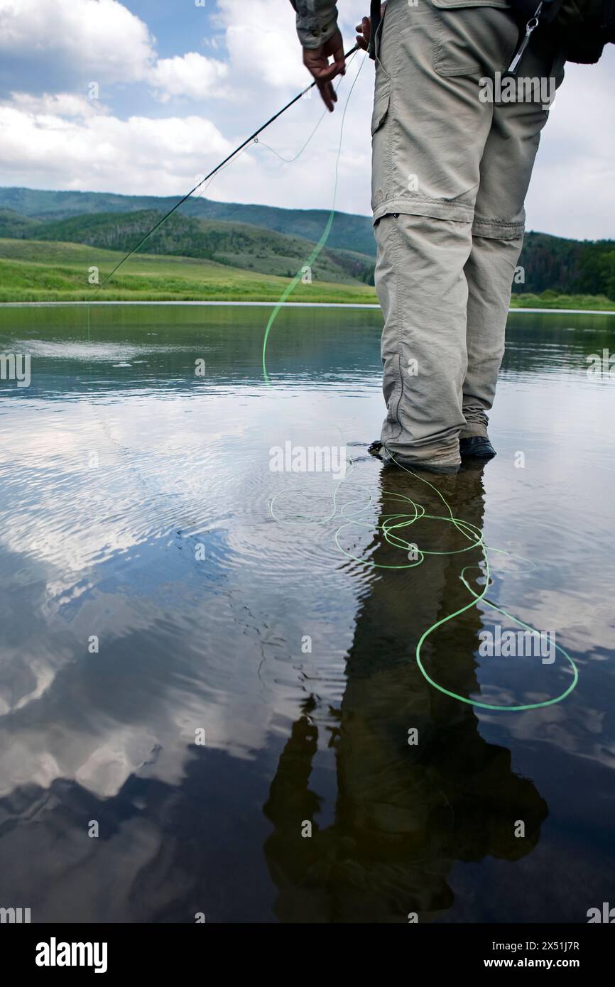 Fishing to rising trout Stock Photo - Alamy